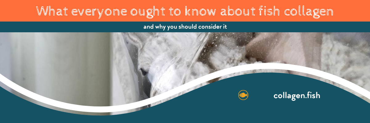 All About Fish Collagen and its Impressive Benefits